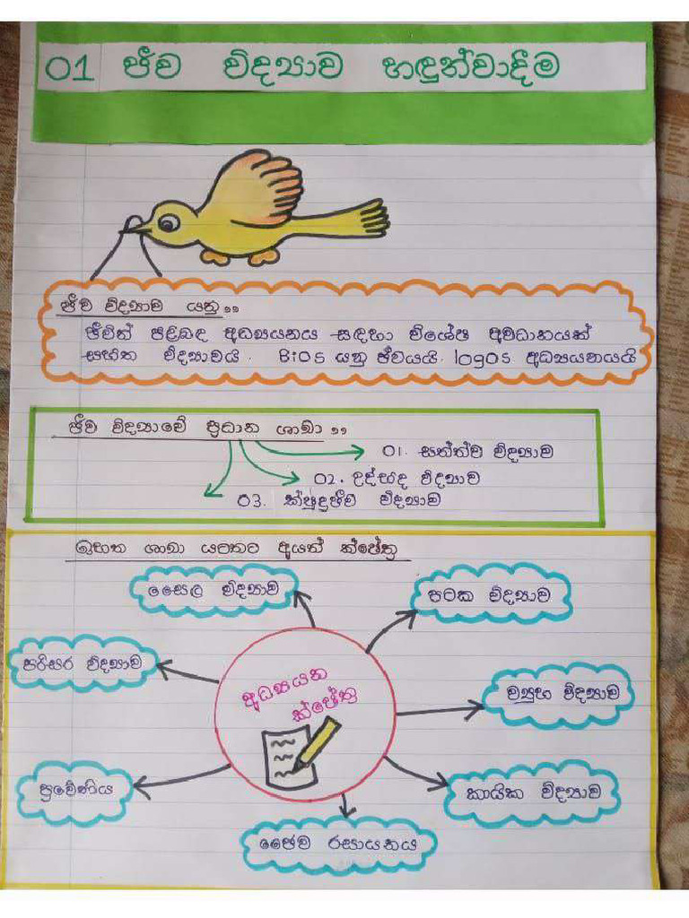 Biology Mind Map2 | PDF