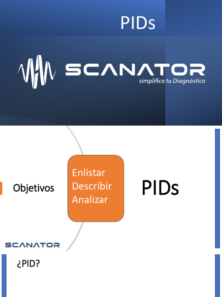 Scanator7 2025 PIDs Parte2 | PDF