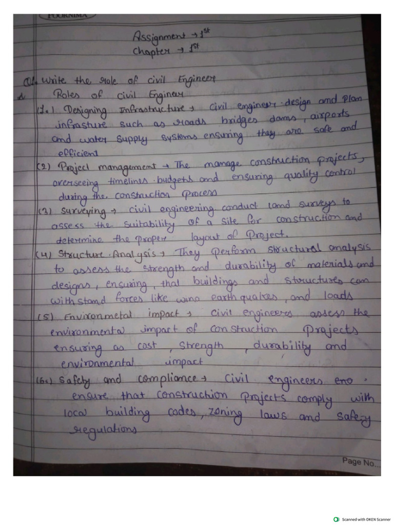 civil assignment | PDF