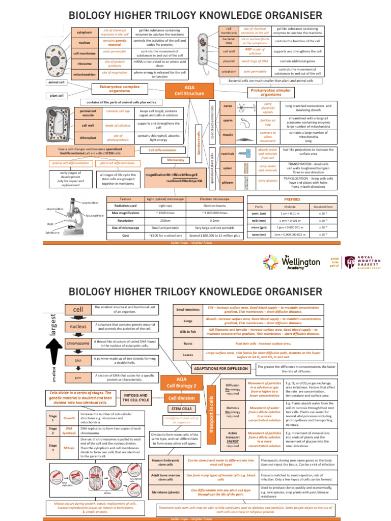 BIOLOGY HIGHER TRILOGY Knowledge Organiser | PDF | Cell (Biology) | Heart