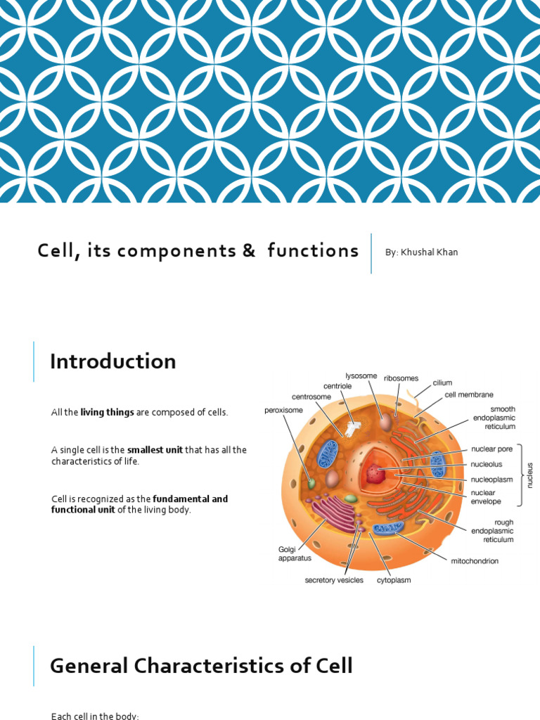 5 - Cell, Its Components and Functions | PDF | Cell Membrane ...