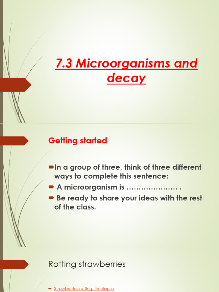 7 3 Microorganism and Decay3p651 | PDF | Decomposition | Mold