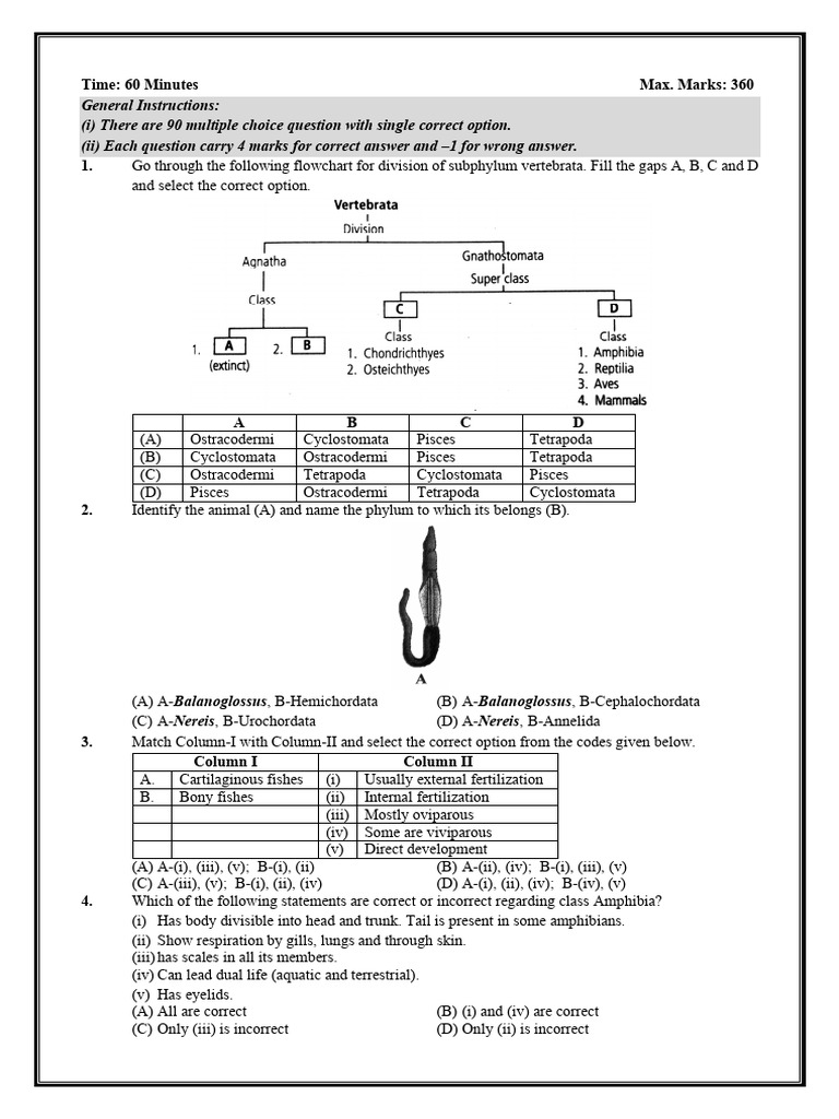 14.kingdom Animalia Questions | PDF | White Blood Cell | Red Blood Cell