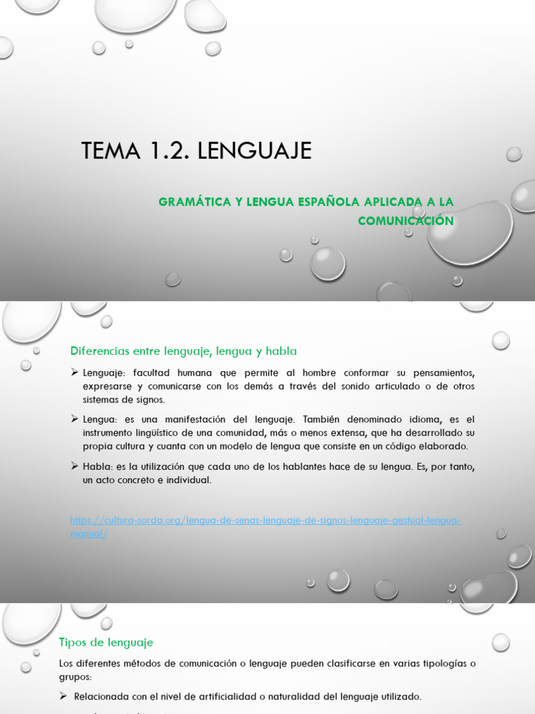 Gramática y Tipos de Lenguaje en Español | PDF | Comunicación | Lingüística