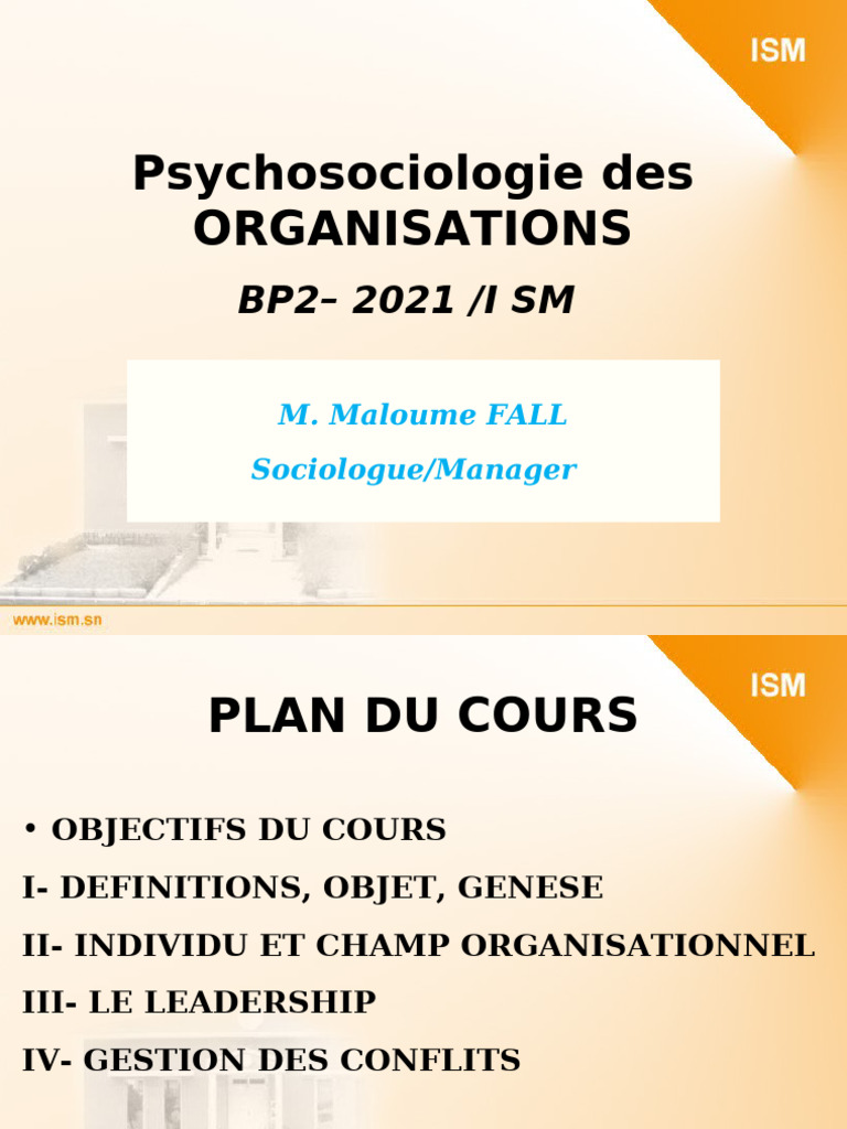 Spsycho Des Organisations SL BP2 | PDF | Motivant | Motivation
