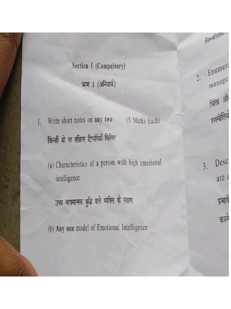 Emotional Intelligence - Paper 2 | PDF