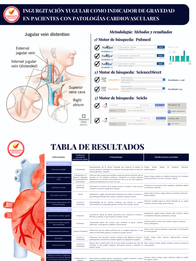Ingurgitación Yugular Y Gravedad Cardiaca Pdf Corazón