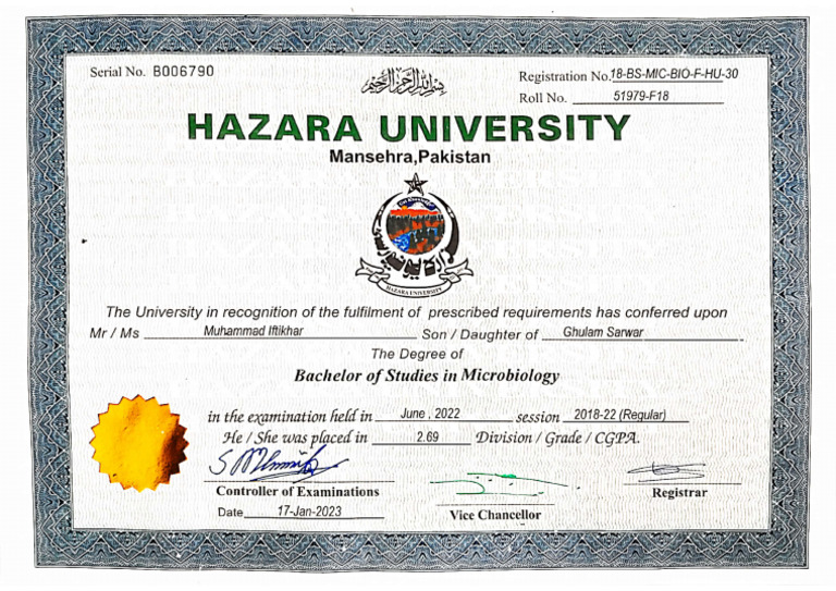 Original Degree Bs | PDF