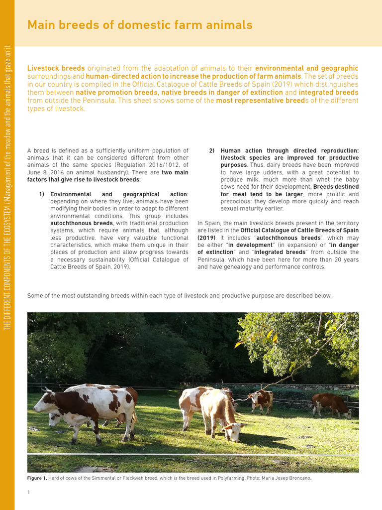 Pasture-management-nº5_Main-breeds-of-domestic-farm-animals | PDF ...