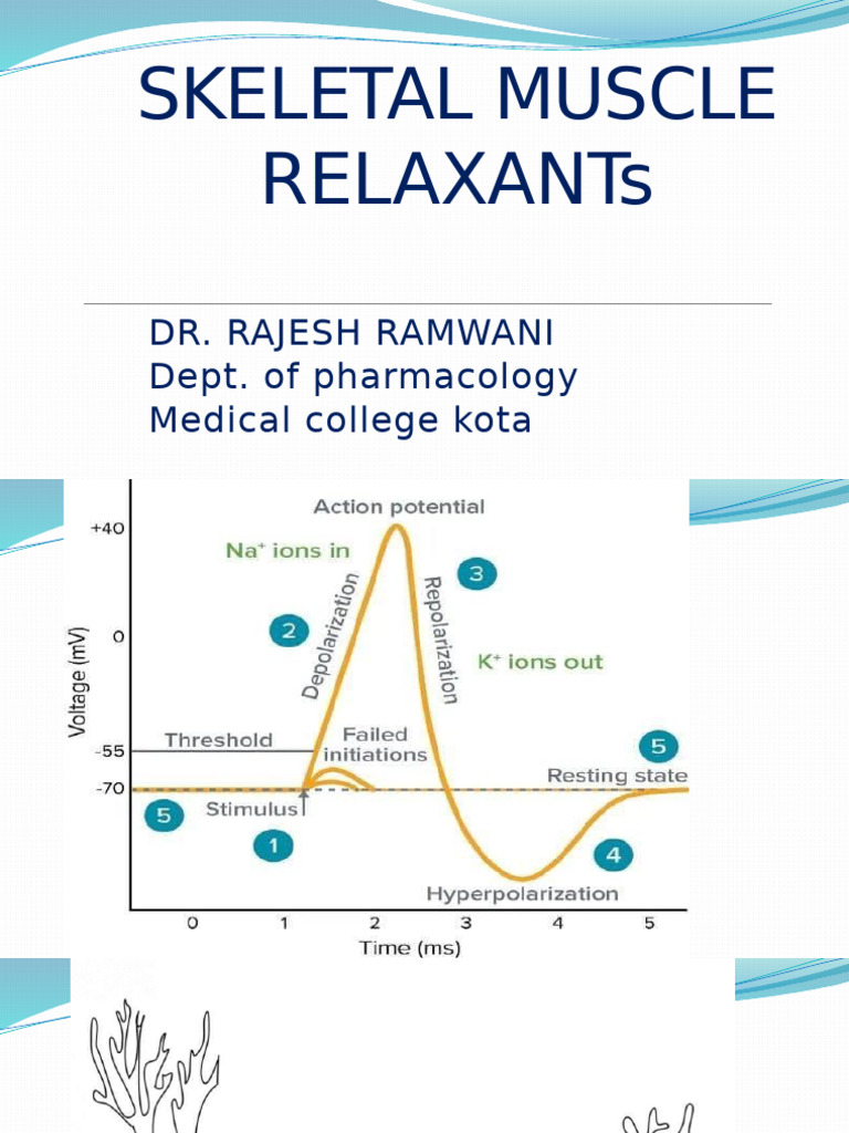 Skeletal Muscle Relaxant | PDF | Neuromuscular Junction | Drugs