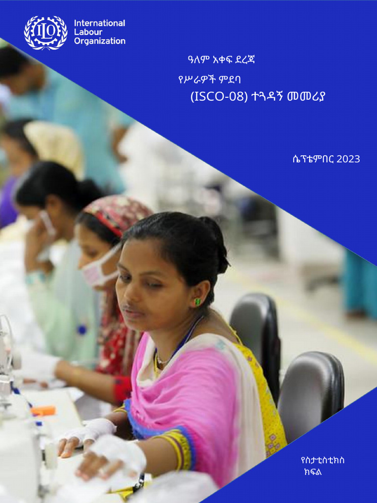 ILO Occupational Analysis Companion Guide Wesagn | PDF