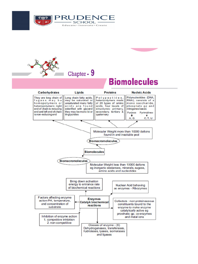 Notes, Ch- Biomolecules (1) | PDF