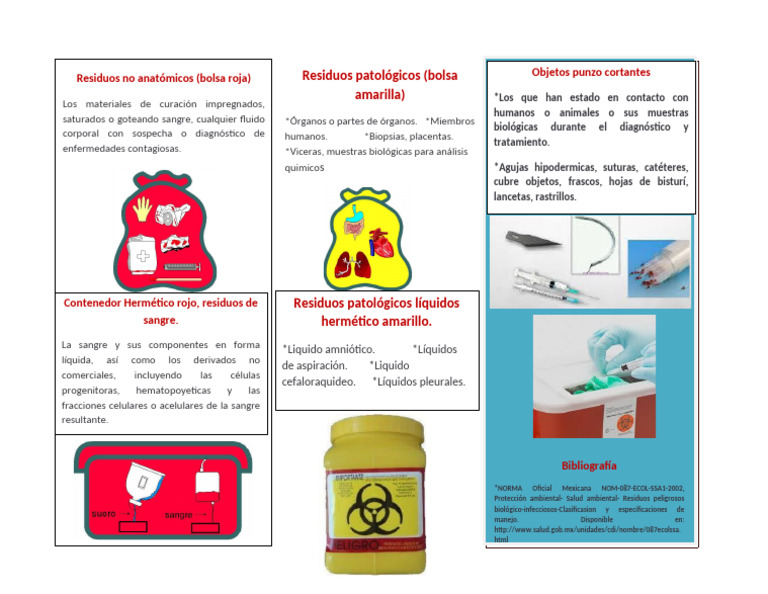 Norma 087 | PDF | Biopsia | Sangre
