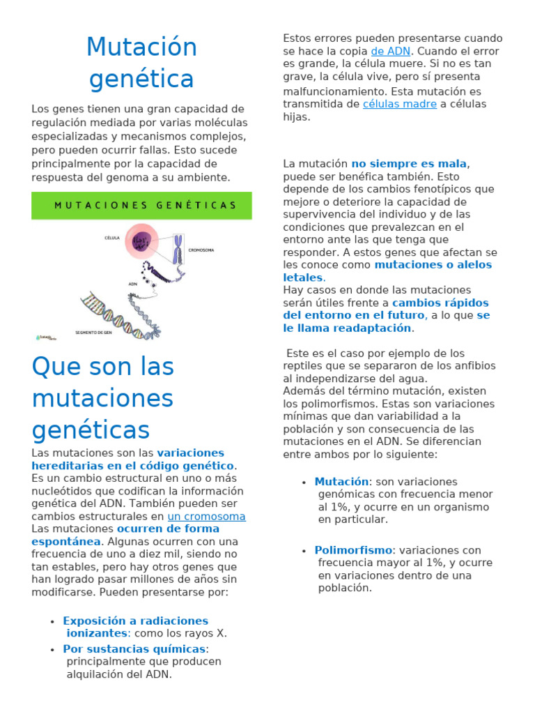 Mutaciones Genéticas: Tipos y Ejemplos | PDF | Mutación | Adn