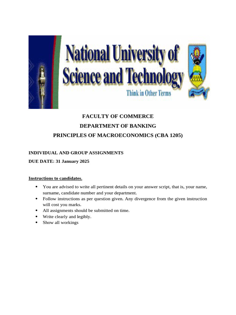 Macroeconomics Assignments Guide | PDF
