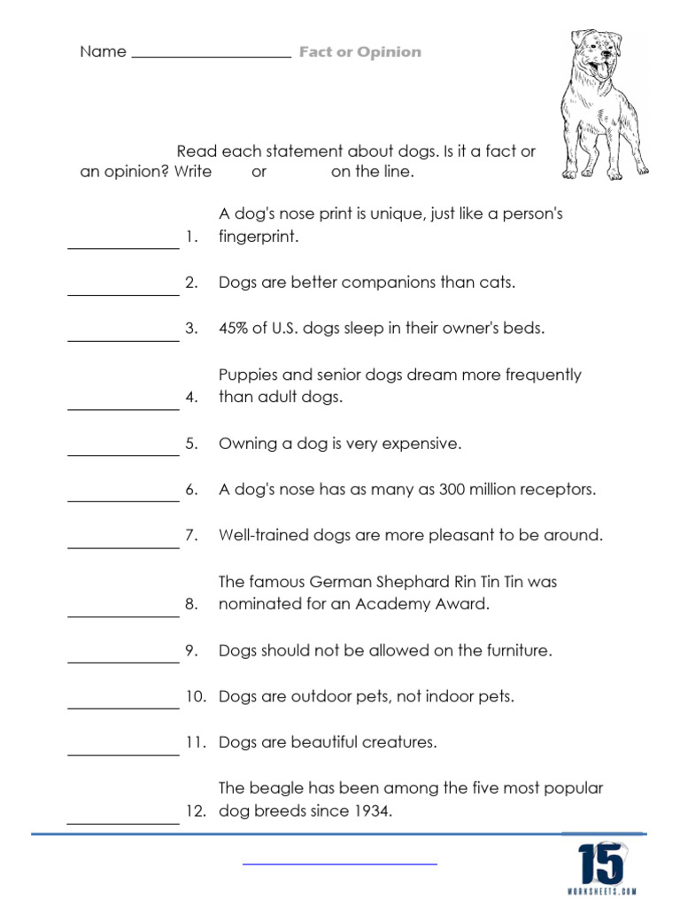 Fact vs. Opinion: Dog Statements Worksheet | PDF