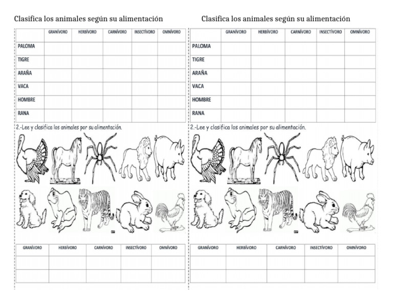Clasificacion de Los Animales Segun Su Alimentacion Ciencias | PDF