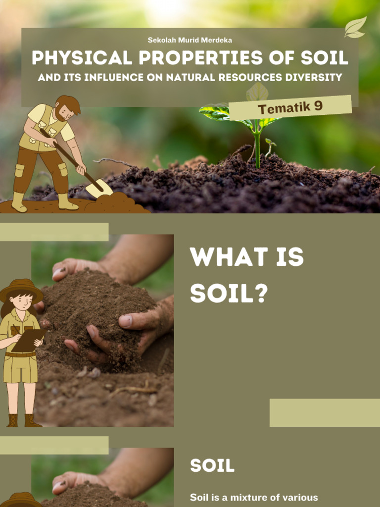 Physical Properties of Soil | PDF | Soil | Topsoil