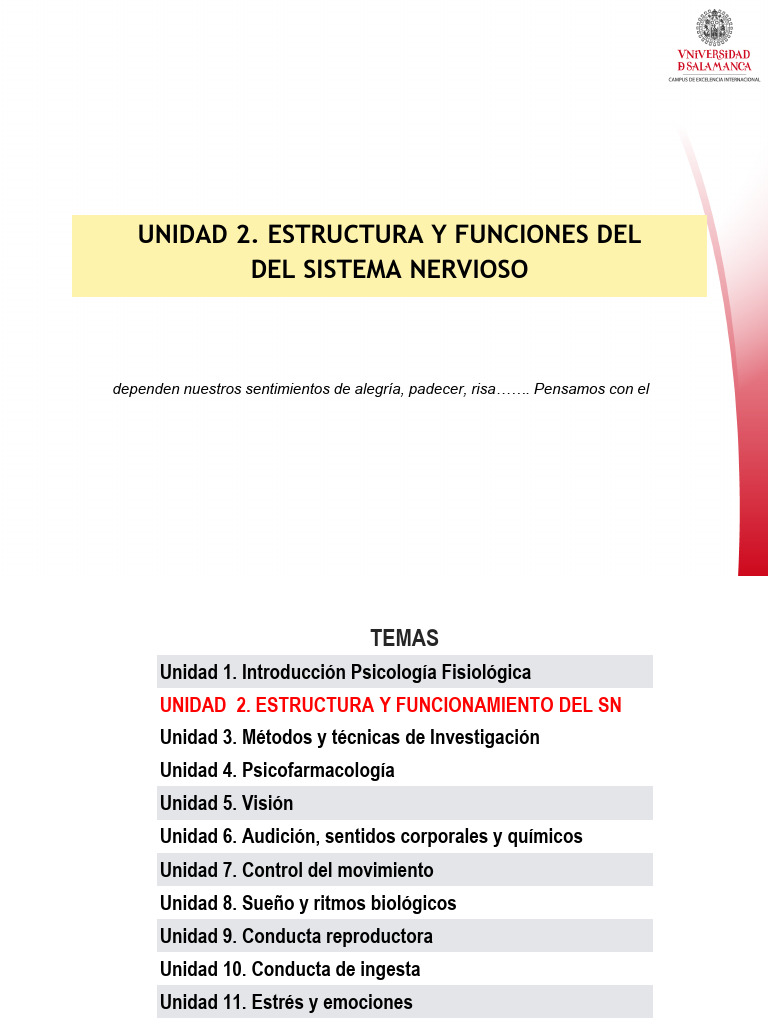 Unidad 2. Estructura y Función Del SN | PDF | Sinapsis | Neurona
