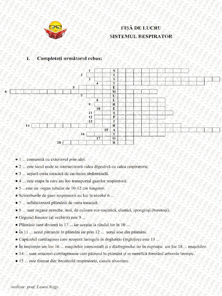 08 Cls 6 Rebus Sistem Respirator | PDF
