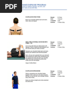 Shoulder Pain Rehabilitation Exercises | PDF