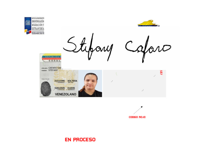 Stefany Cafaro | PDF