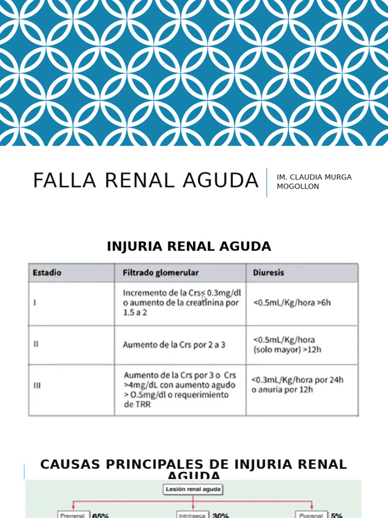 Falla Renal Aguda: Im. Claudia Murga Mogollon | PDF
