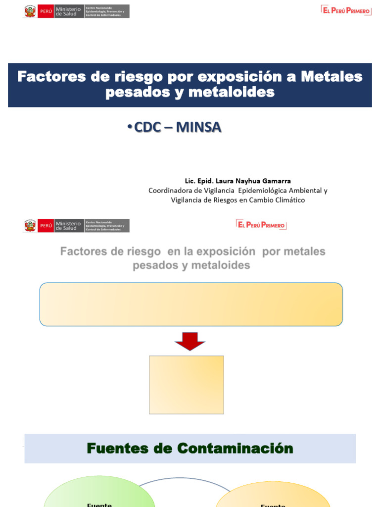 1.- Factores de riesgo por exposición a metales y metaloides | PDF | Mercurio (Elemento) | Dirigir