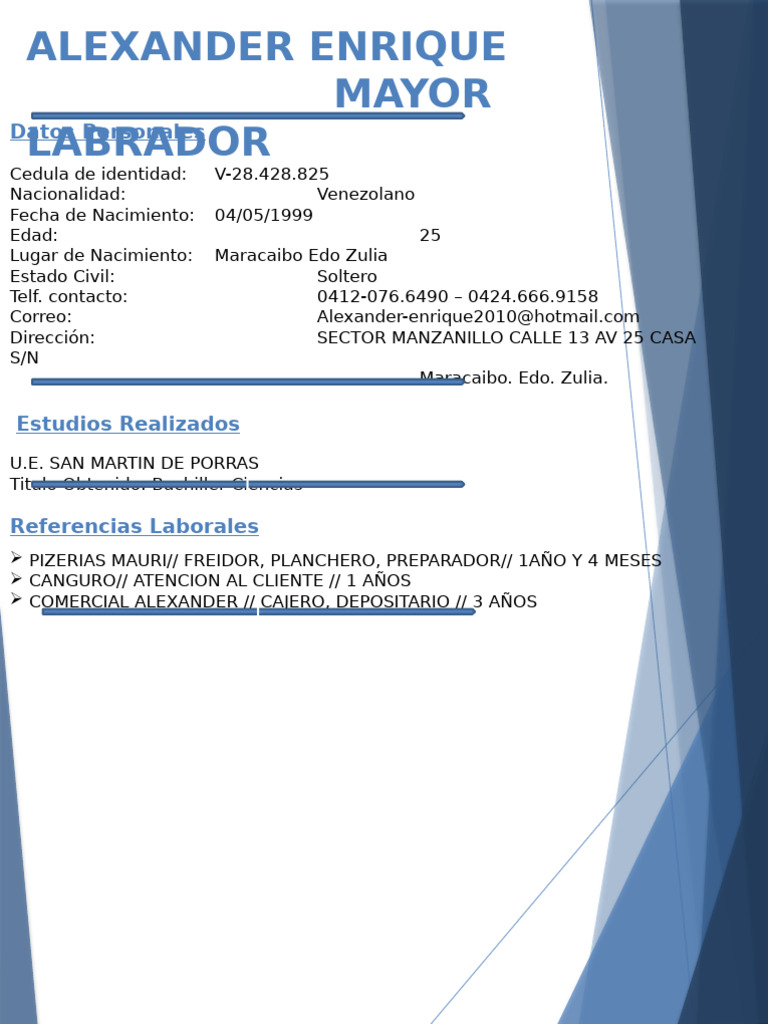 Perfil Laboral de Alexander Mayor | PDF