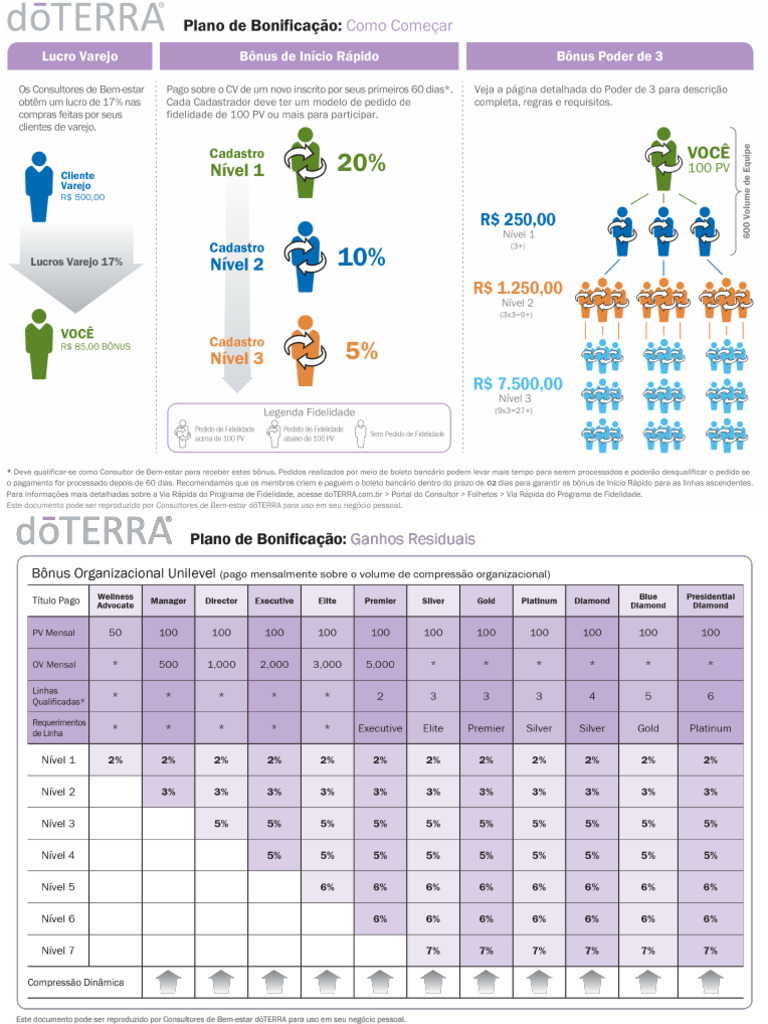 Compensation Plan | PDF