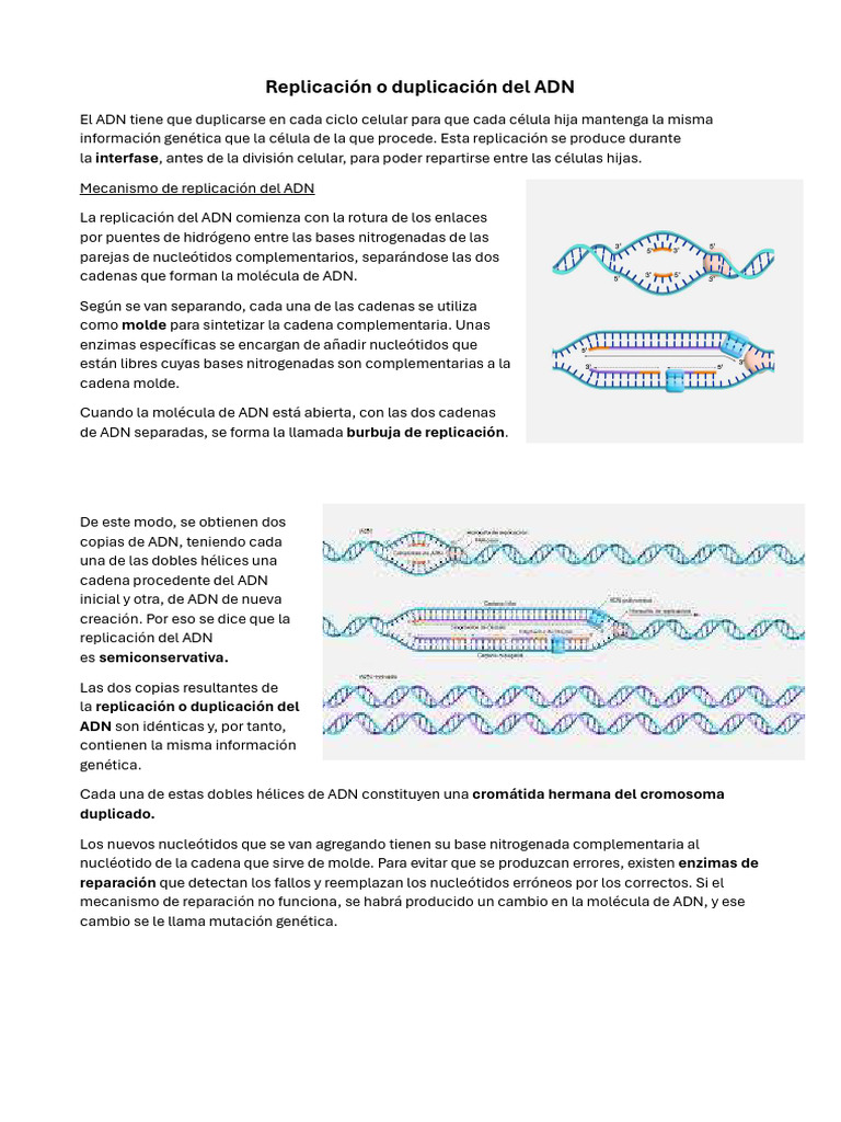 Replicación, Transcripción y Traducción | PDF | Codigo genetico | Adn