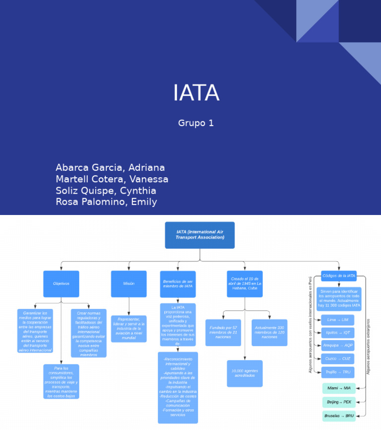 IATA | PDF