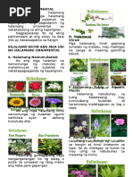 EPP 4 - Ornamental Plants | PDF