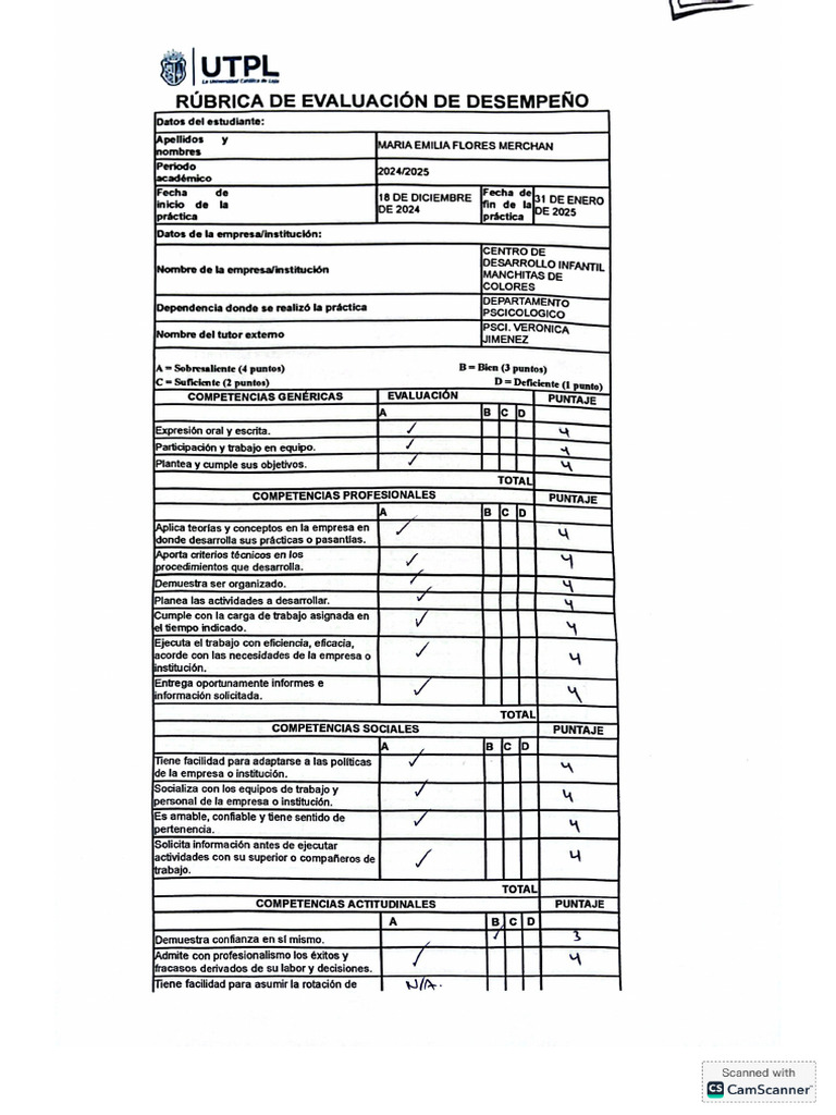 Anexo 10rúbrica de Evaluación de Desempe | PDF