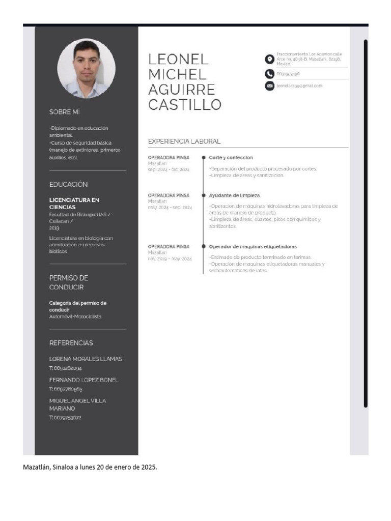 Curriculum Leonel | PDF