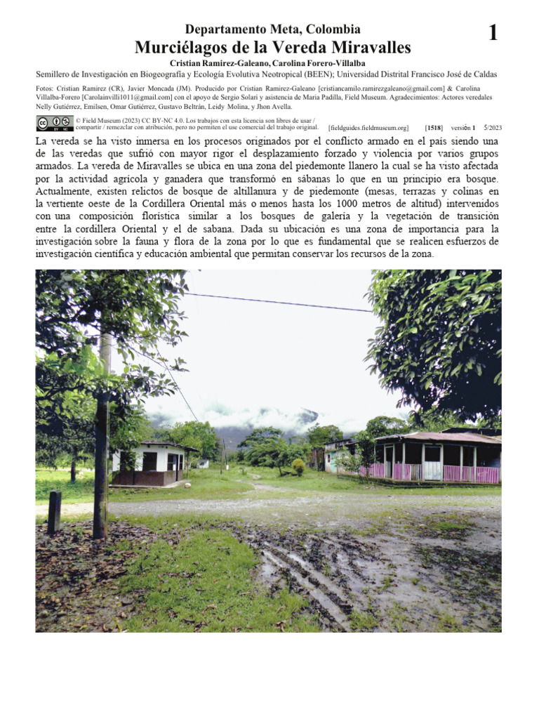 1518 COLOMBIA Bats of Vereda Miravalles | PDF