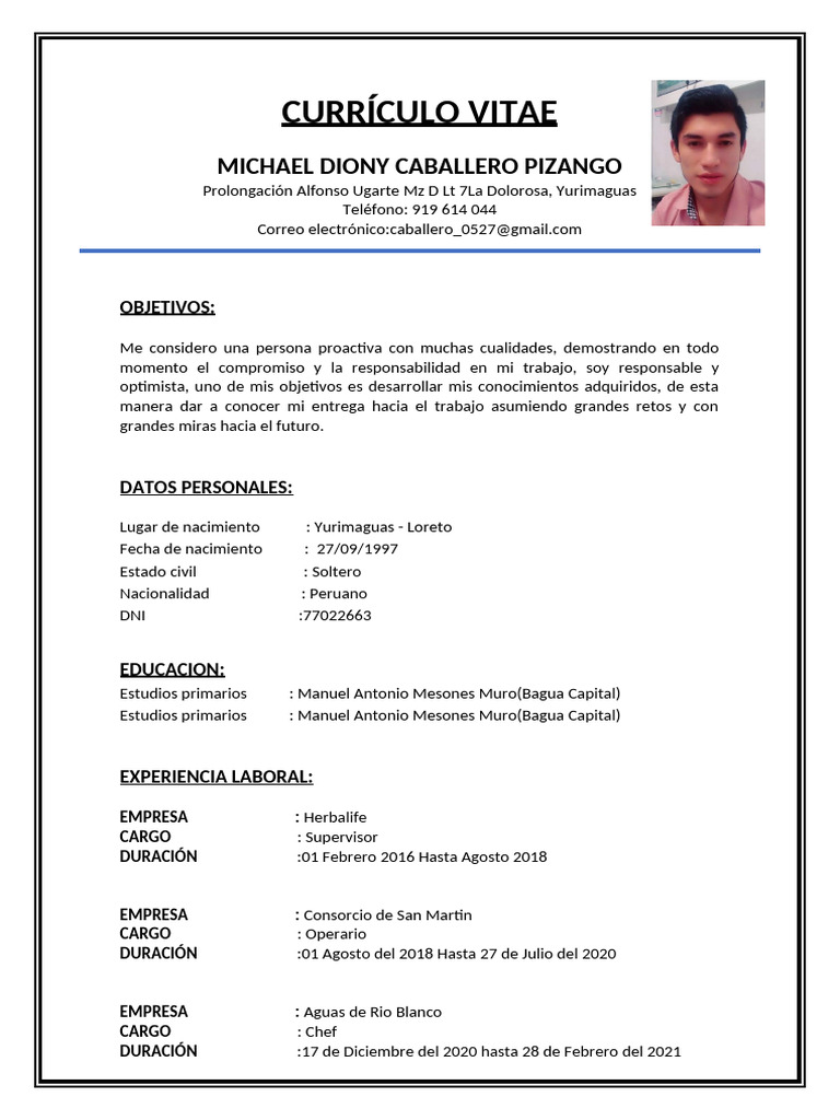 Curriculum Vitae Michael | PDF