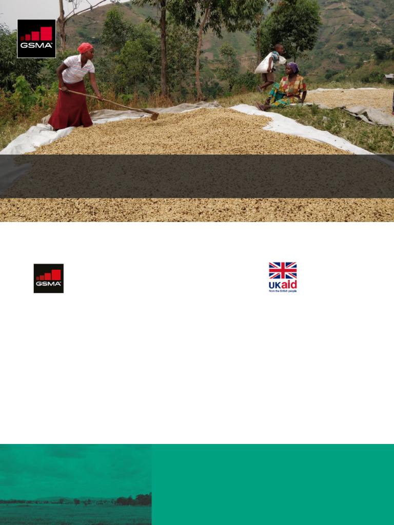 GSMA MAgri Value Chain Assessment Framework | PDF | Procurement ...