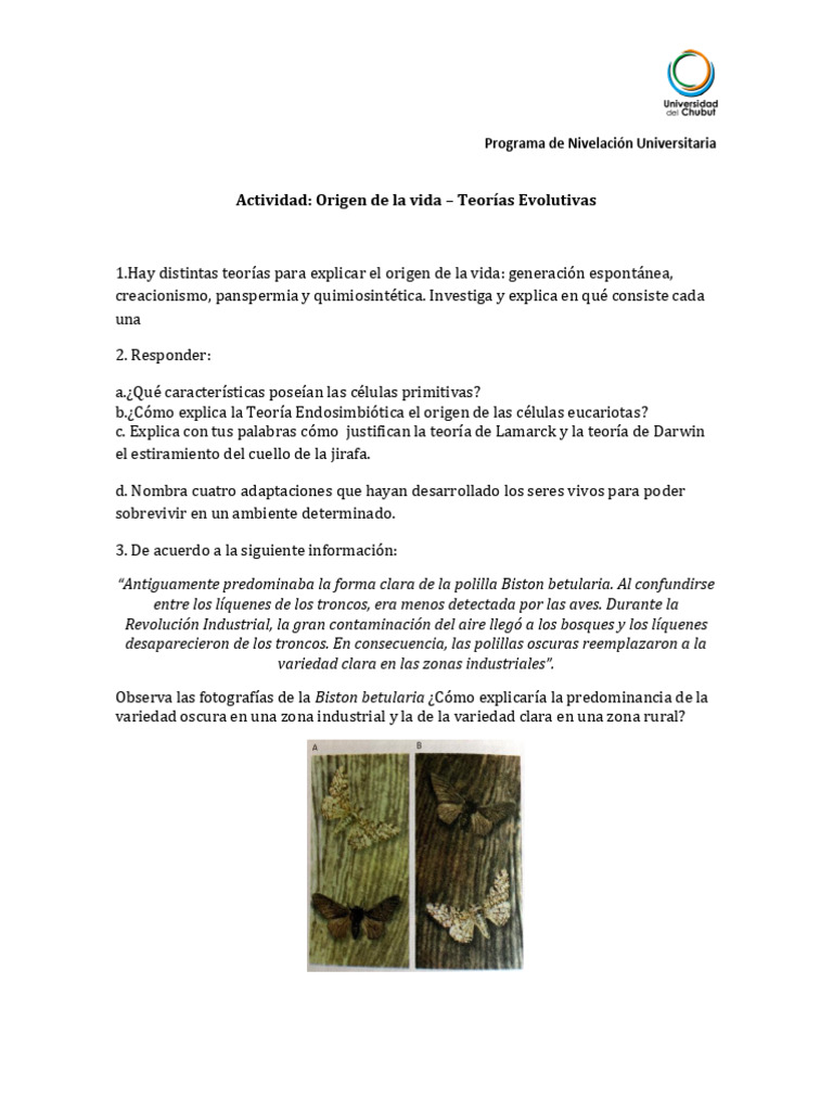 Actividad Clase 9 | PDF