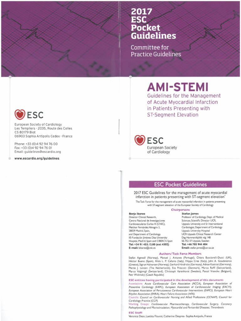 T4. Stemi (2017) | PDF