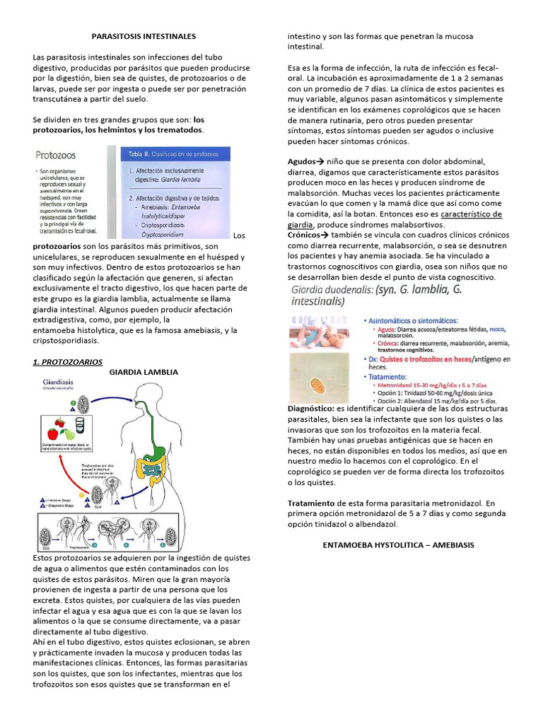 Parasitosis Intestinal Pediatría | PDF | Diarrea | Gastroenterología
