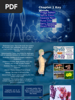 Medical Terminology Chapter 2 Study Guide | PDF