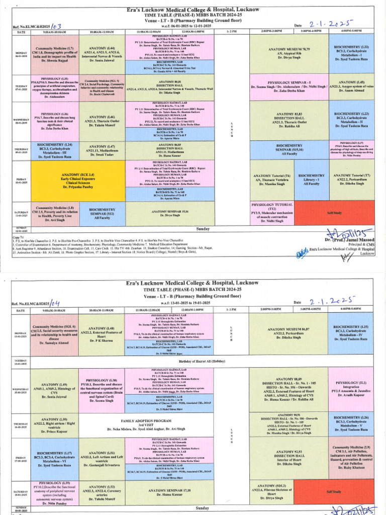 Time Table Phase 1 MBBS Batch 2024-25 (2.1.2025) | PDF