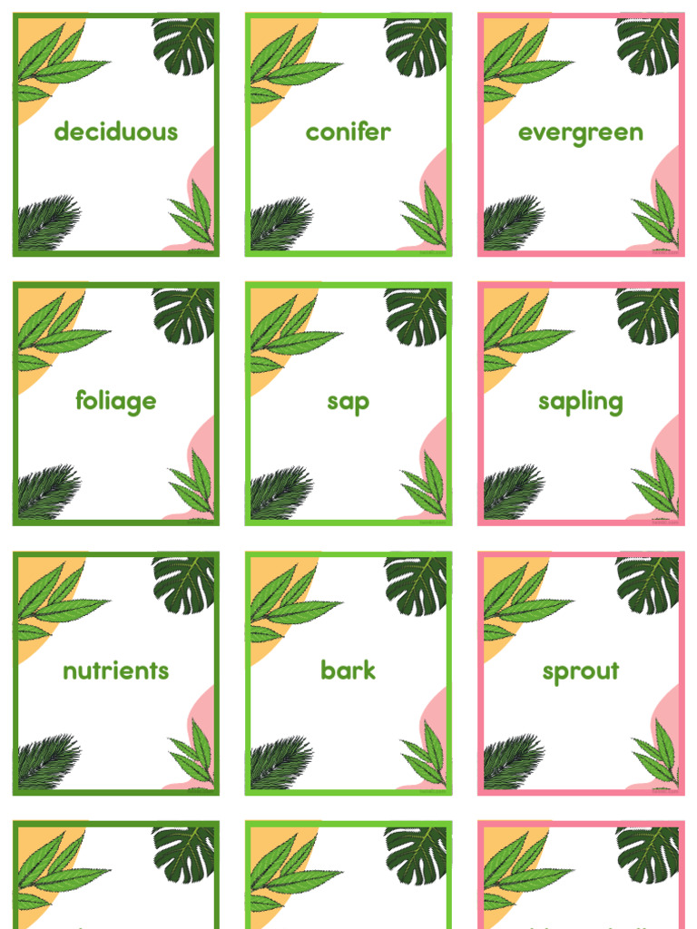 Understanding Trees: Types and Functions | PDF | Trees | Leaf