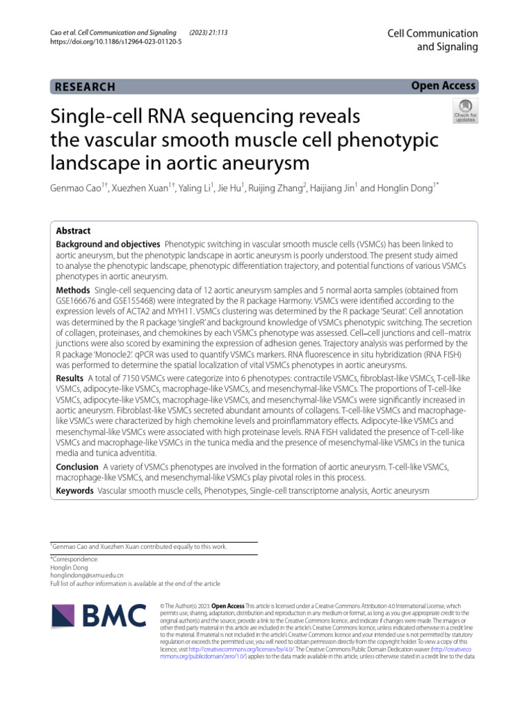 2023 - scRNA Seq Reveals The Vascular Smooth Muscle Cell Phenotypic Landscape in Aortic Aneurysm ...