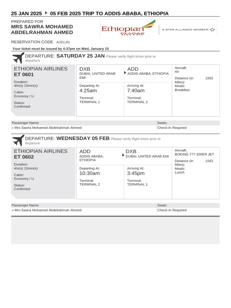 E-Ticket January 25 For Mrs Sawra Mohamed Abdelrahman Ahmed | PDF ...