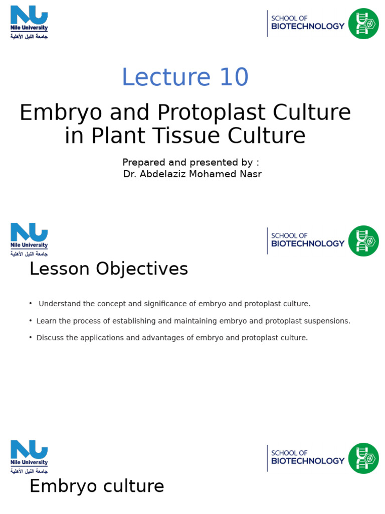 Lecture 10 | PDF | Seed | Embryo