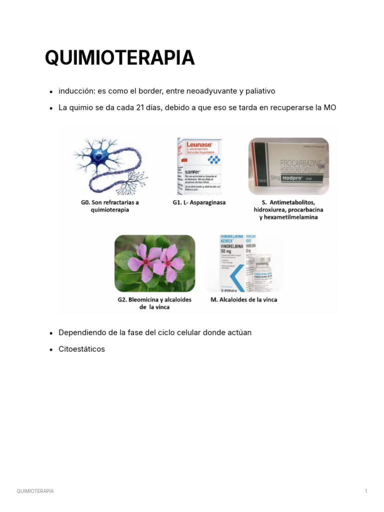 Efectos y Tipos de Quimioterapia | PDF | Quimioterapia | Cáncer