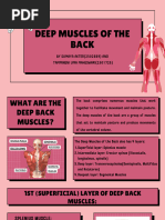 Understanding SIJ: Form and Force Closure | PDF | Pelvis | Vertebral Column
