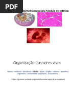 Hialoplasma: Composição e Funções Celulares | PDF | Citosol | Célula ...